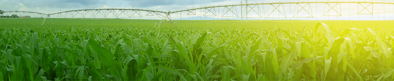 Standard Chemigation - Agri-Inject